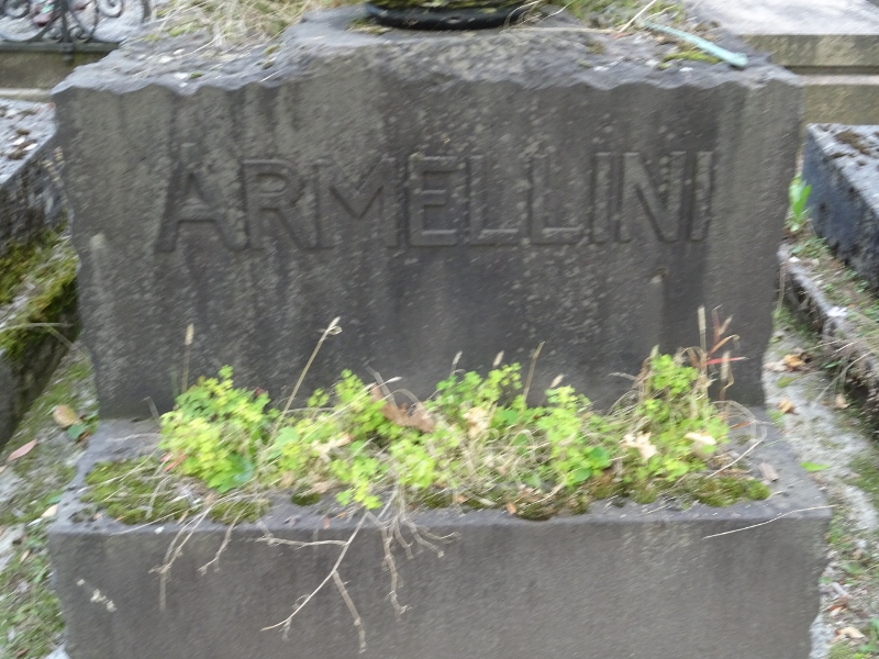 Cimetière du Père Lachaise - APPL - ARMELLINI Alexandre (1888-1914)