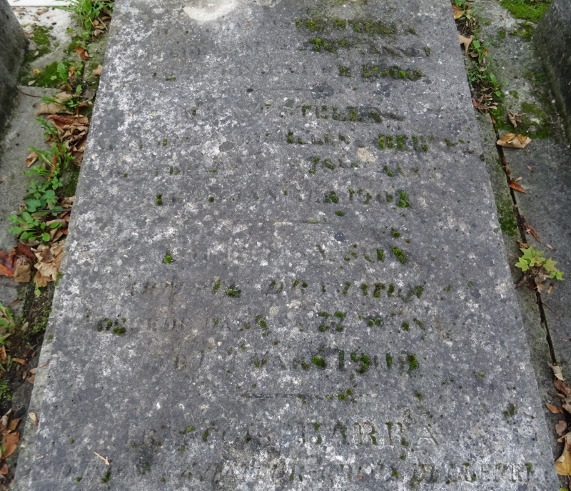 Cimetière du Père Lachaise - APPL - STELLA Alexandre (1850-1886)
