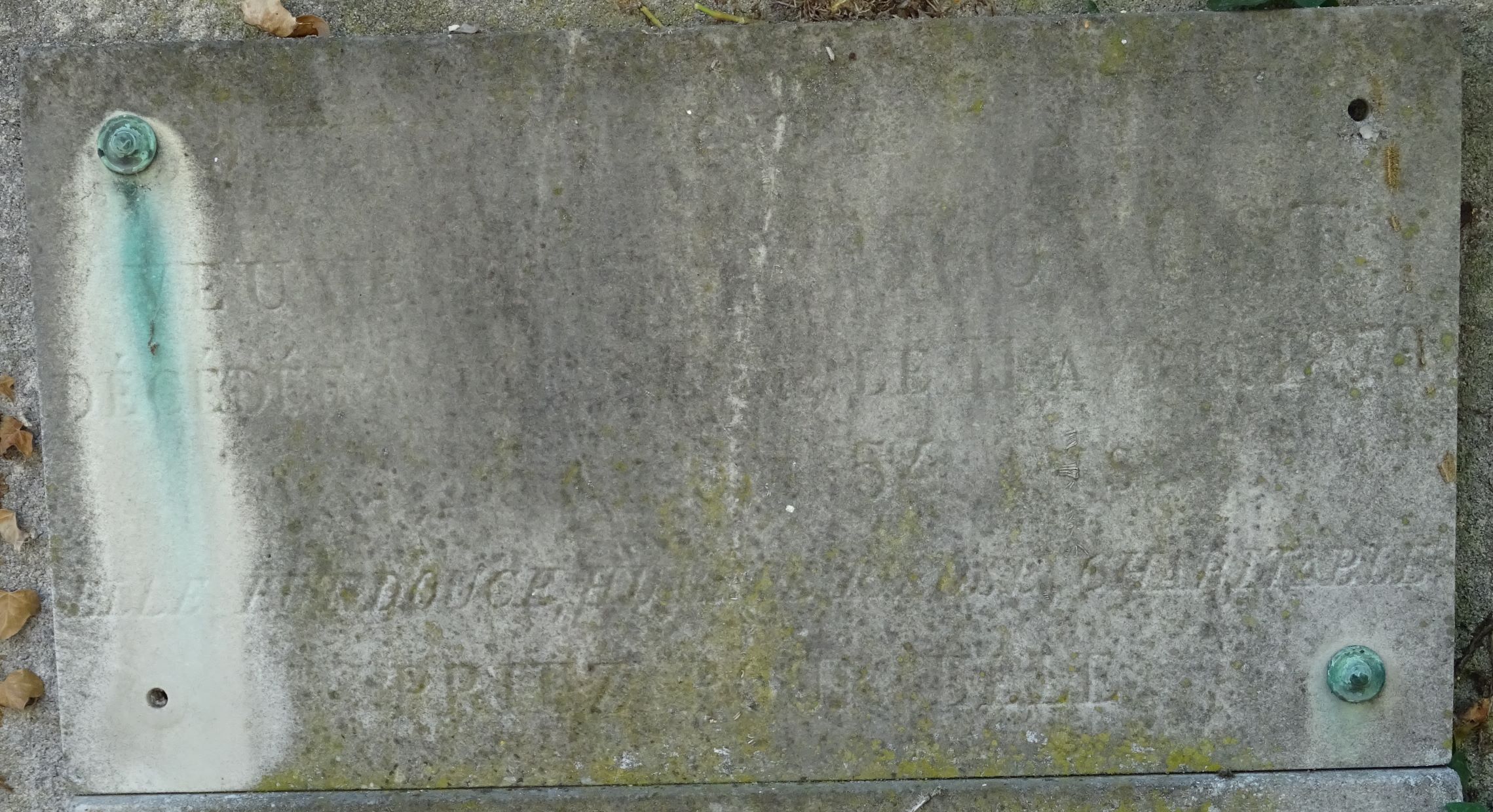 Cimetière du Père Lachaise - APPL - PROVOST Louis (1816-1866)