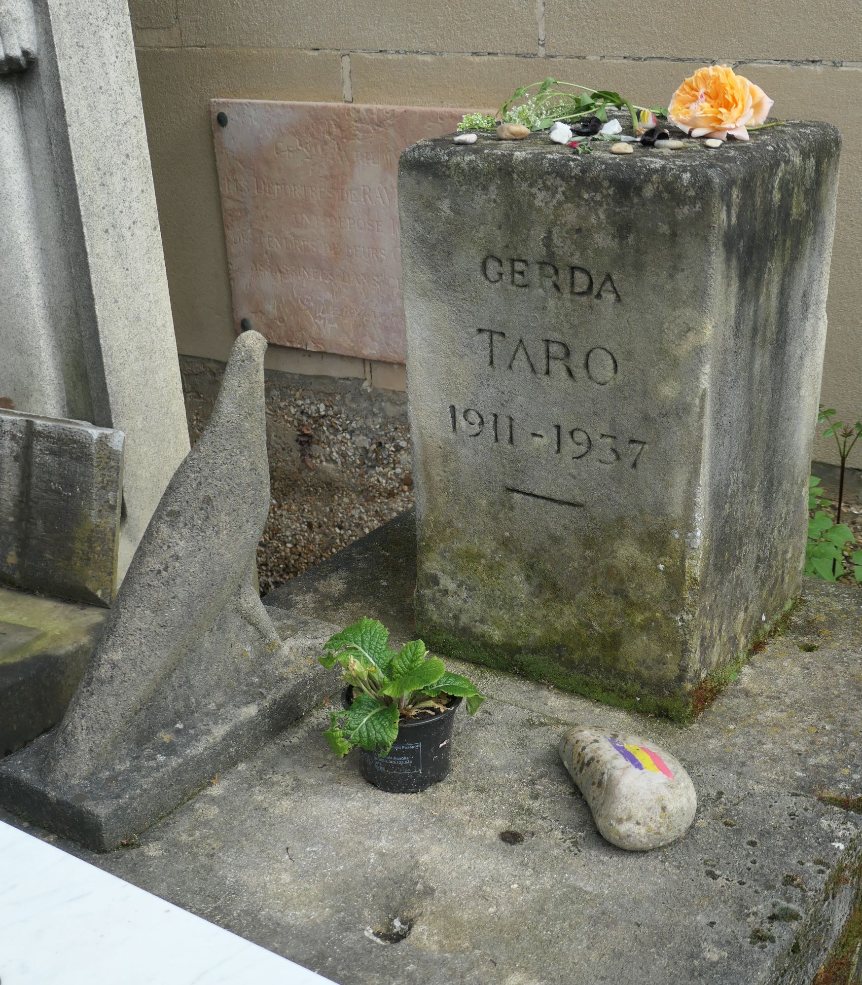 Cimetière du Père Lachaise - APPL - TARO, Gerda POHORYLLE, dite (1910-1937)